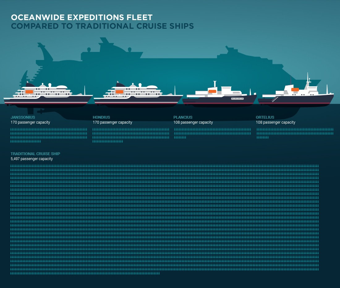 How big is a whale compared to a cruise ship 60 photos - Arptravels.com