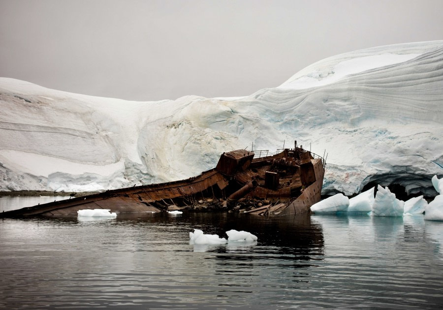 Guvernøren | Oceanwide Expeditions