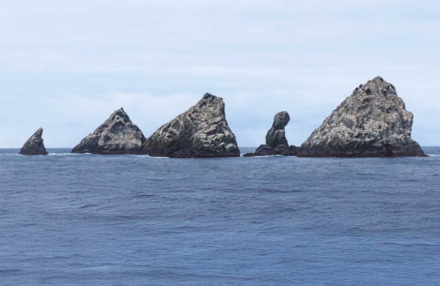 Shag Rocks | Oceanwide Expeditions