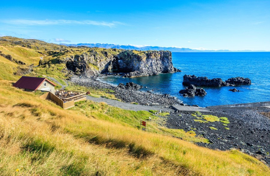 Entdecken Sie im Mai die wilde Küste Islands: Nehmen Sie an unserer ...